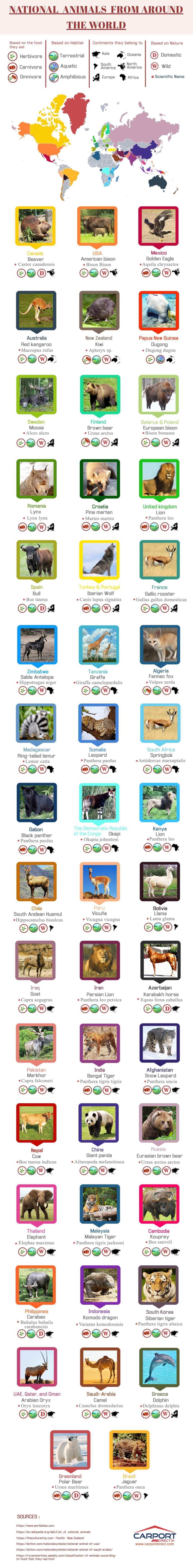 National Animals from Around the World | Infographics Race
